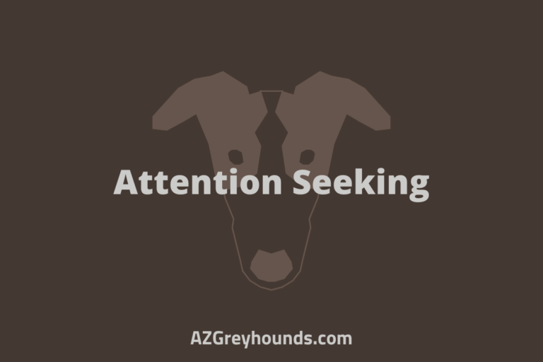 Greyhound Teeth Chattering: 7 Possible Reasons & Solutions