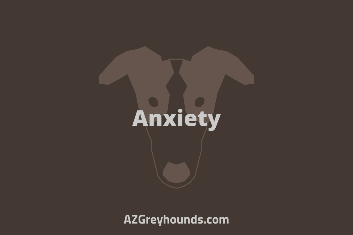 Greyhound Teeth Chattering: 7 Possible Reasons & Solutions