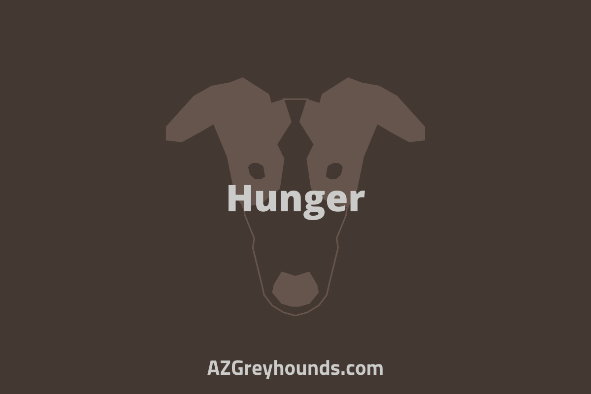 Greyhound Teeth Chattering: 7 Possible Reasons & Solutions