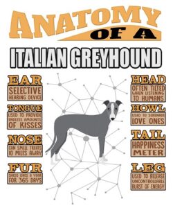 Italian Greyhound Anatomy: A Comprehensive Guide