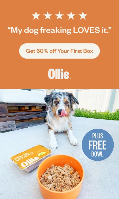 10 Best Dog Food for Greyhounds in 2023: The Ultimate A-Z Guide